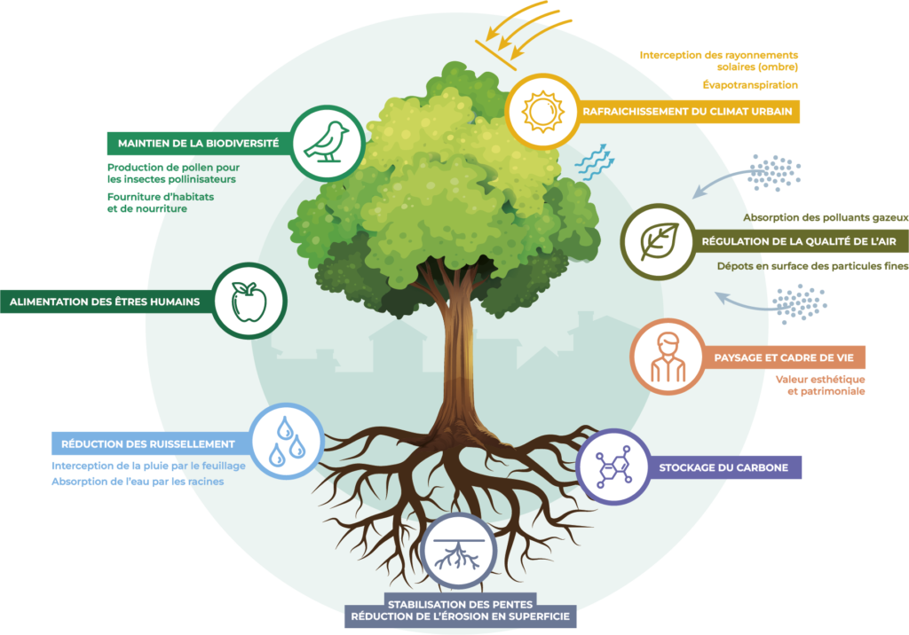 Végétalisation - Inspire